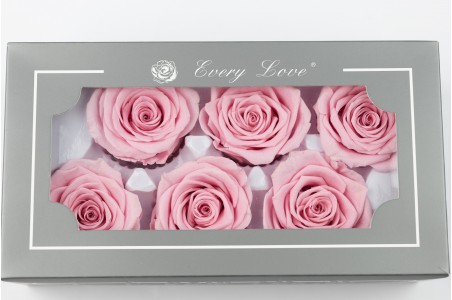 PHOCEALYS │Preserved rose heads│Sale to pros│Wholesaler of preserved plants
