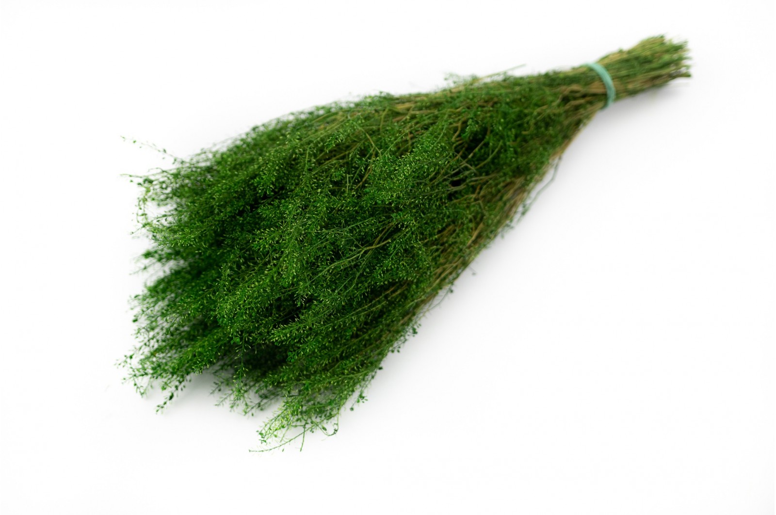 Lepidium stabilisé │vente aux pros│Grossiste en végétaux stabilisées