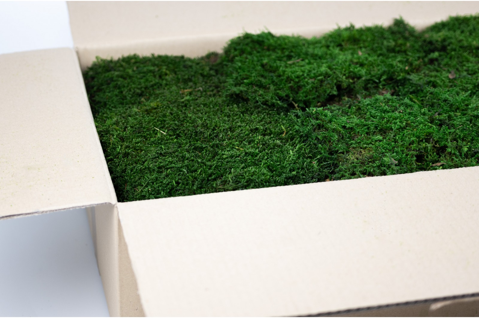 Mousse plate stabilisée│vente aux pros│Grossiste