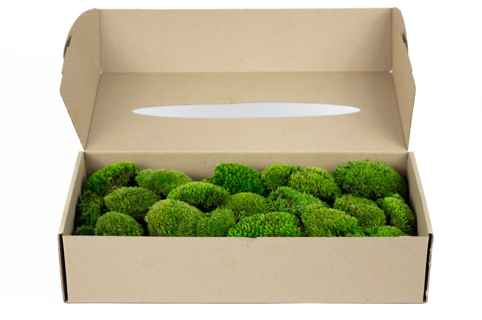 Mini Mousse boule stabilisée│vente aux pros│Grossiste en stabilisée