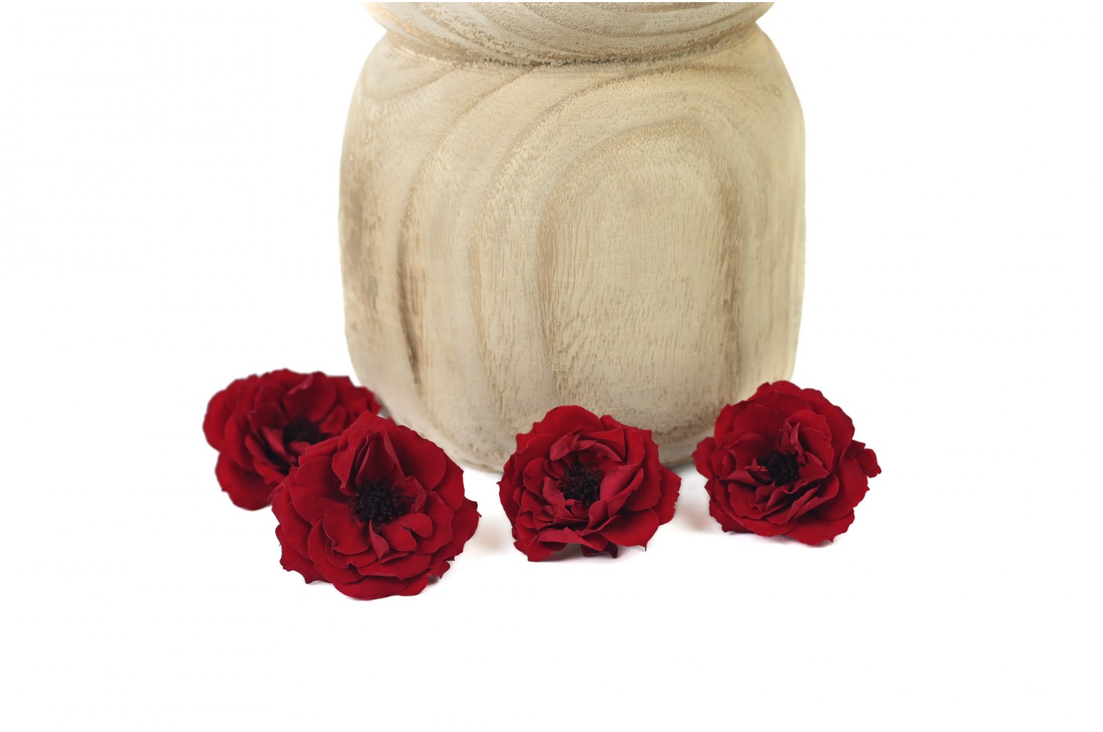 Rose sauvage stabilisée│vente aux pros│Grossiste en végétaux stabilisées