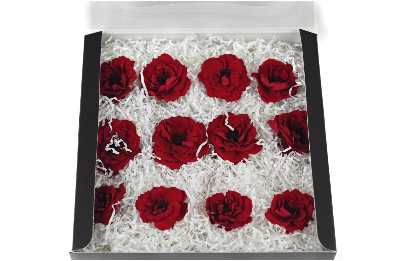 Rose sauvage stabilisée│vente aux pros│Grossiste en végétaux stabilisées