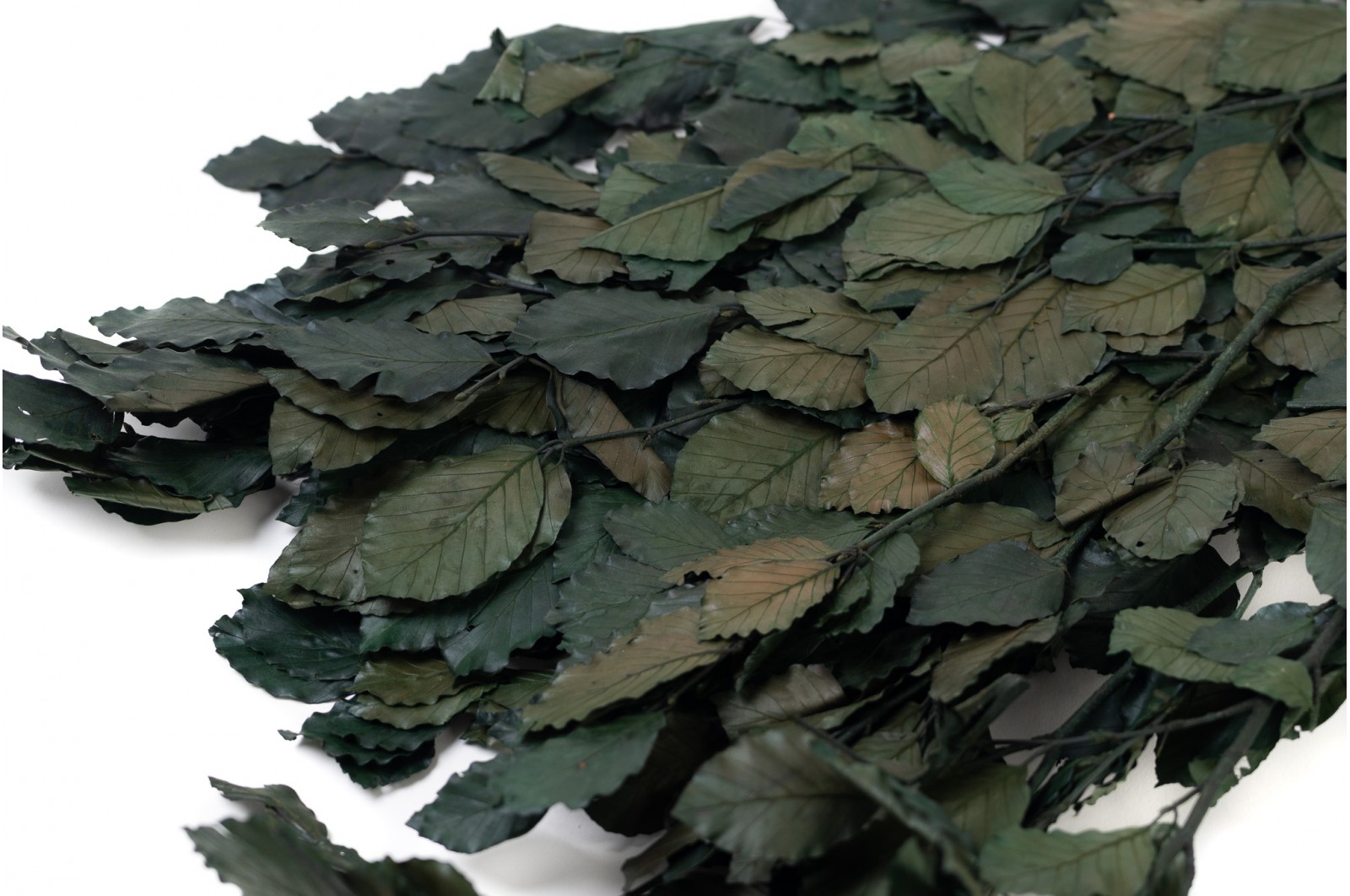 Preserved Greeneries