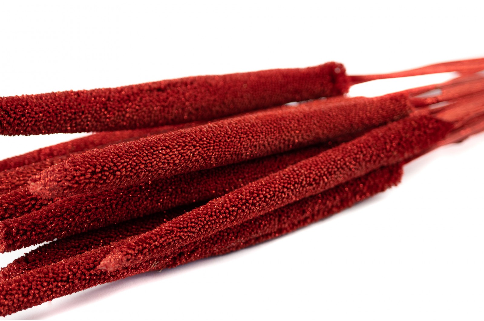 PHOCEALYS│Dried babala│Sale to professionals│Wholesaler