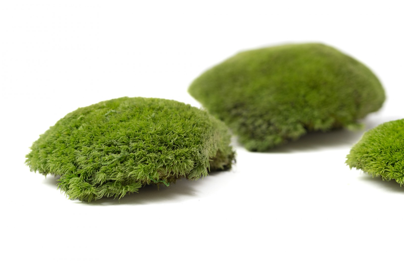 PHOCEALYS│Mousse boule stabilisée│vente aux pros│Grossiste