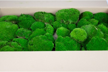 PHOCEALYS│Mousse boule stabilisée carton vrac│vente aux pros│Grossiste