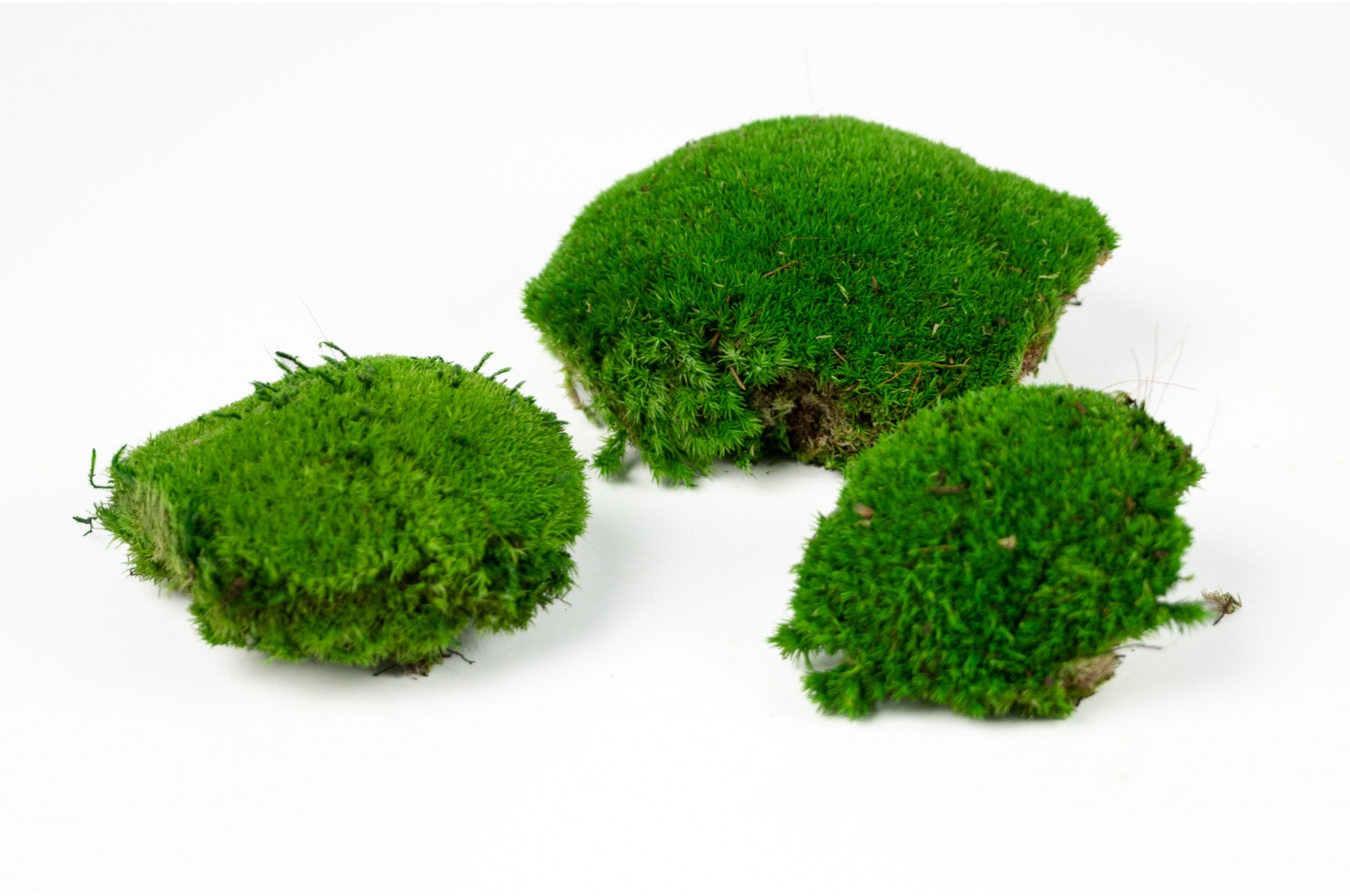 PHOCEALYS│Mousse boule stabilisée carton vrac│vente aux pros│Grossiste