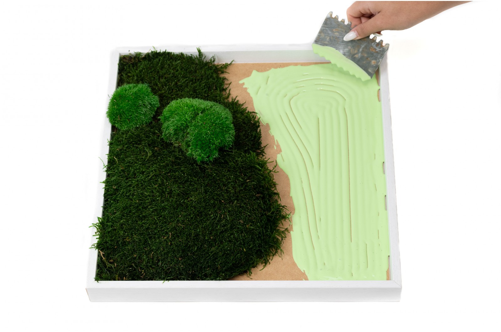 Glue for preserved moss│Accessories│PHOCEALYS Wholesaler