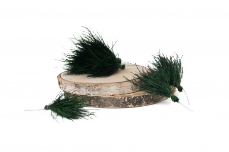 PHOCEALYS │Posy tree fern stabilisés│vente aux pros│Grossiste
