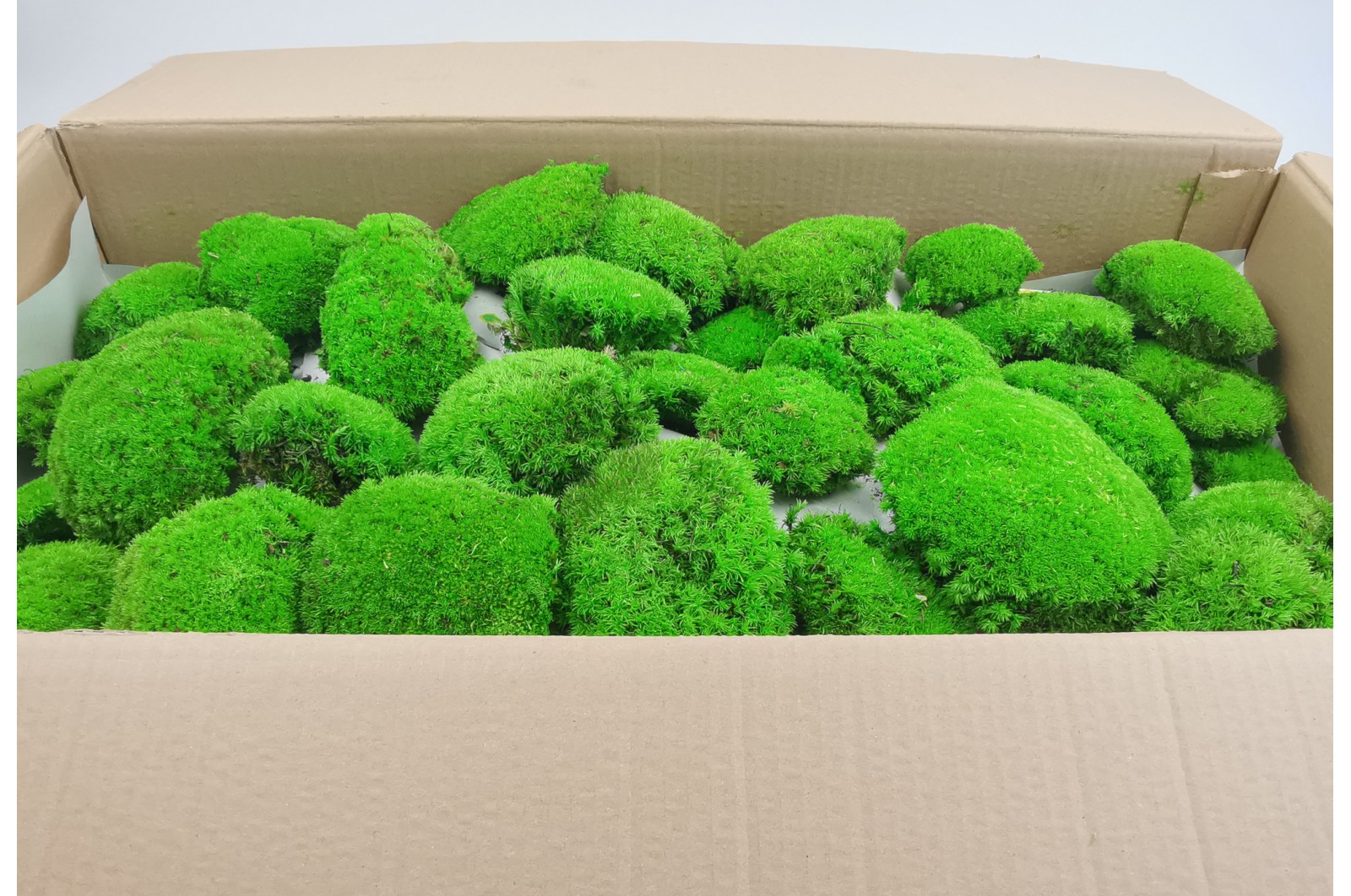 PHOCEALYS│Mousse boule stabilisée carton vrac│vente aux pros│Grossiste ...