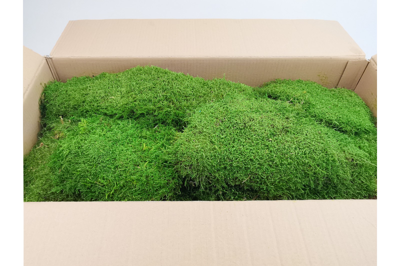 PHOCEALYS│Mousse plate stabilisée│vente aux pros│Grossiste