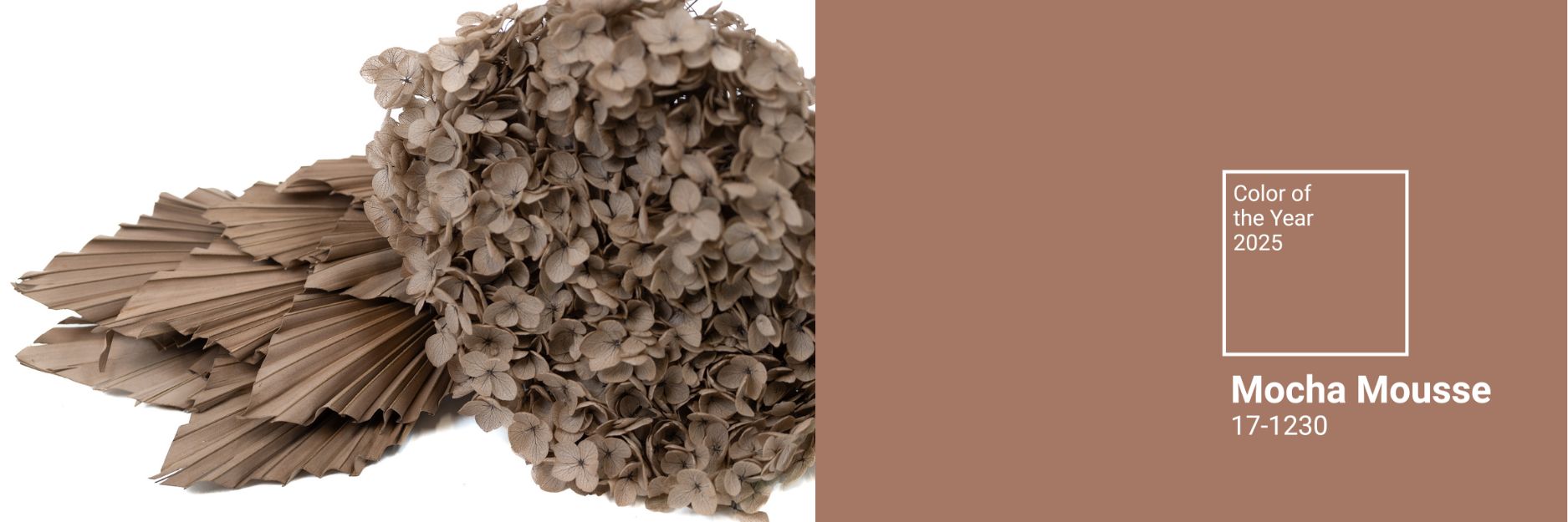 Mocha Mousse : couleur de l’année 2025 par Pantone