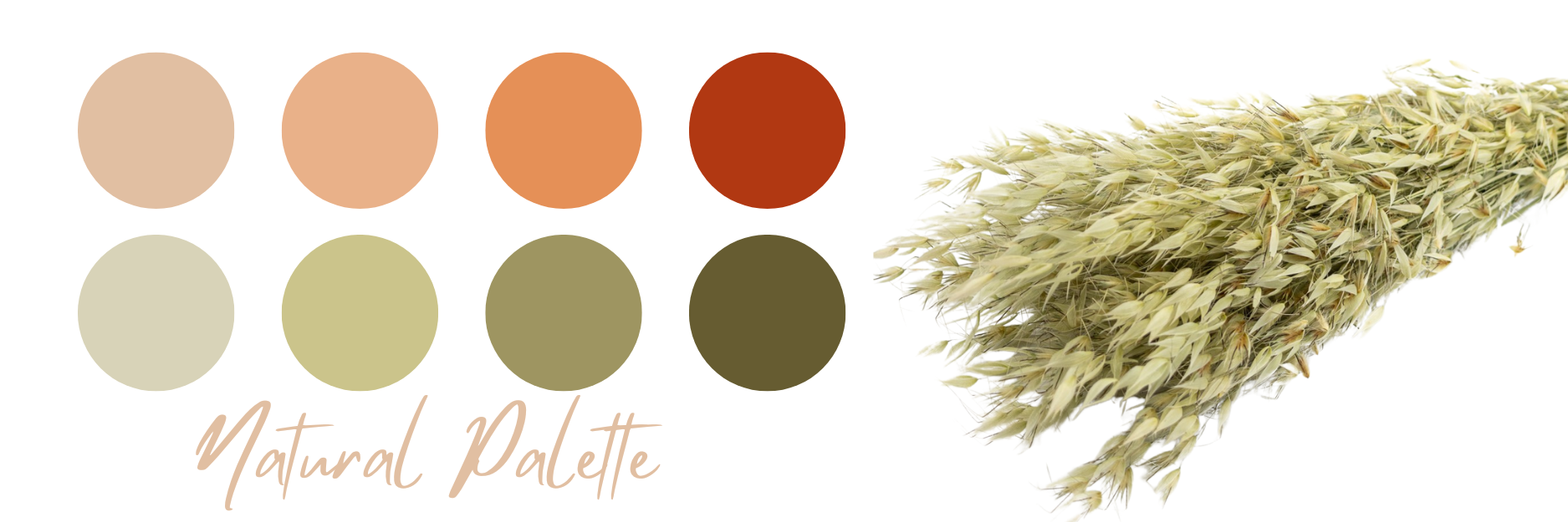 How Pantone's Peach Fuzz Inspires Sustainable Plant Decor