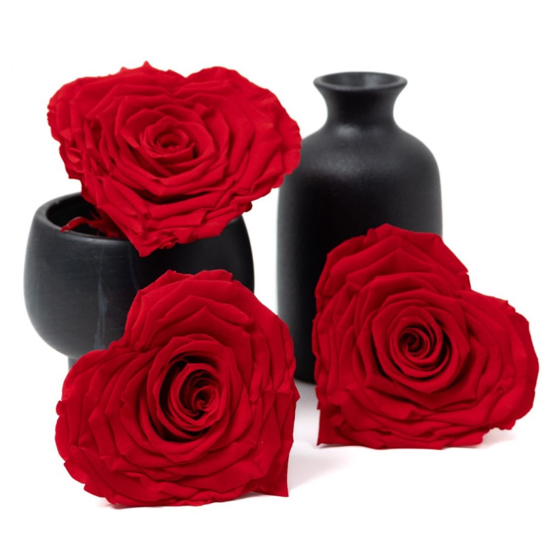 Kiara Roses: Exceptional Varieties to Inspire Your Projects