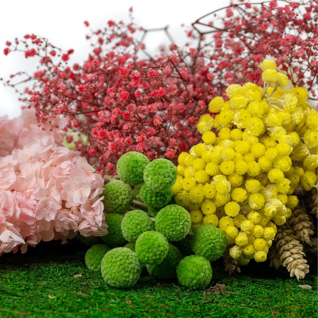 Spring 2025: Discover Phocealys' New Collection to Inspire Your ...