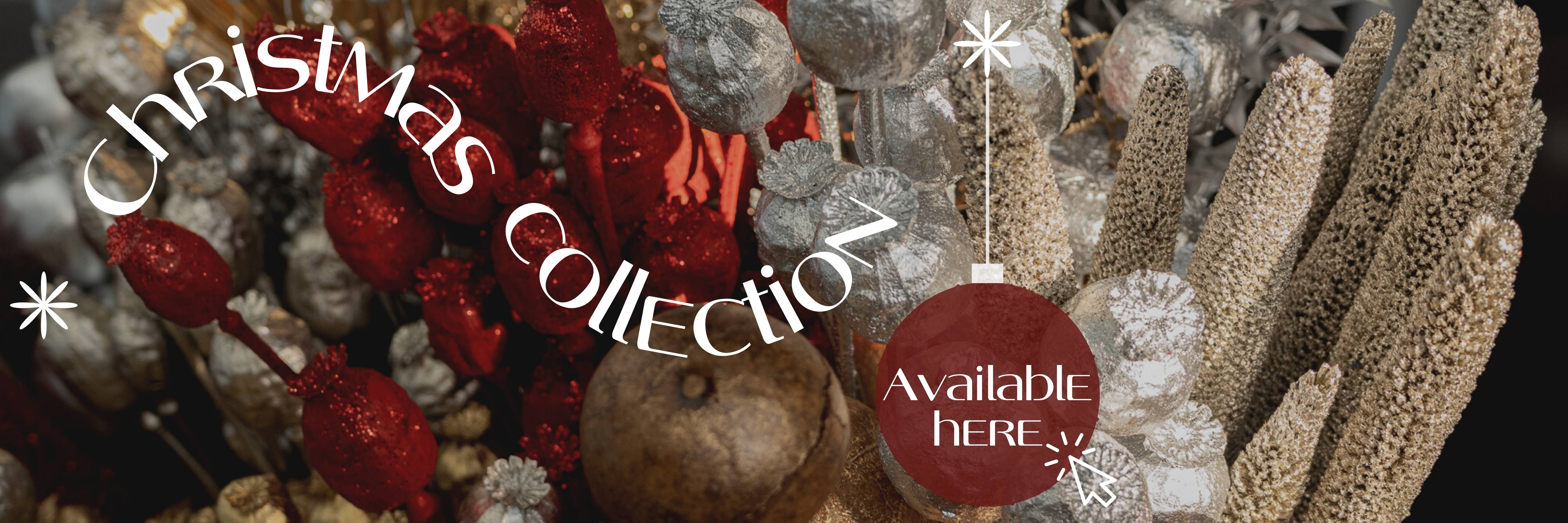 Phocealys |Preserved plants & flowers - Wholesaler - Wholesale / Online ...